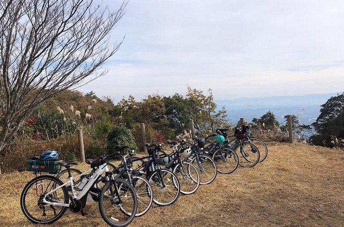 Guided e-Bike Tours in Bungoono City - Who Will Enjoy This Experience?