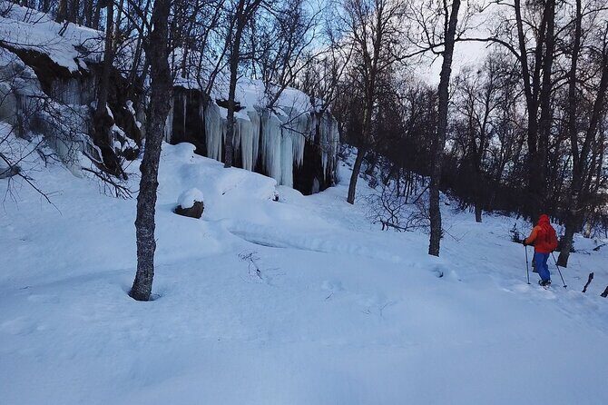 Guided easy snowshoeing with a visit to local café - Introduction: A Gentle Arctic Adventure