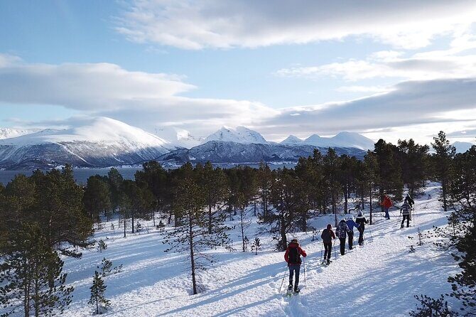 Guided easy snowshoeing with a visit to local café - Reviews and Real Traveler Insights