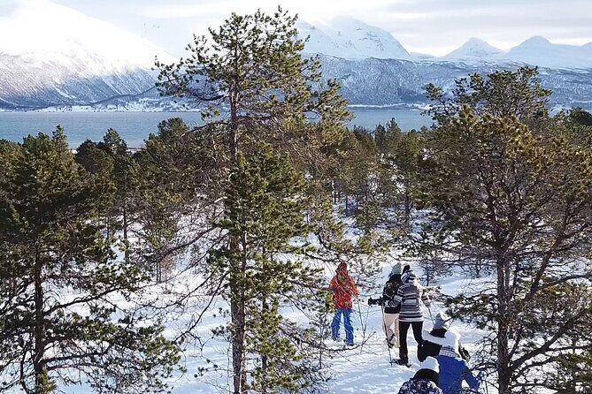 Guided easy snowshoeing with a visit to local café - FAQ