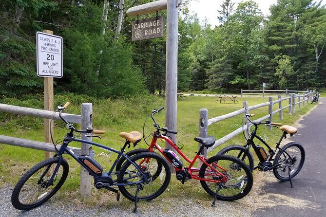 Guided Ebike Tour of Acadia National Park Carriage Roads - Who Will Love This Tour?
