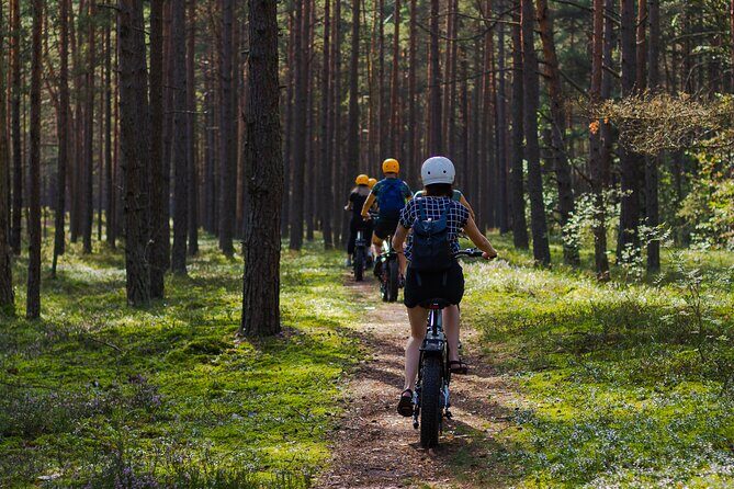 Guided Ebike Tour on Forest Roads and Trails Near Riga - In-Depth Itinerary Breakdown
