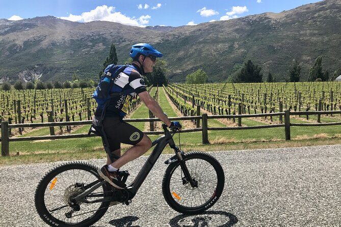 Guided eBike Wine Tour Ride to the Vines - The Experience: What You’ll Actually Do