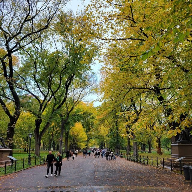 Guided Economy Pedicab Tour in Central Park - Discover Central Park Without Breaking the Bank: The Guided Economy Pedicab Tour