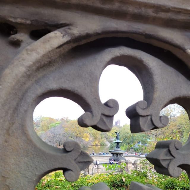 Guided Economy Pedicab Tour in Central Park - Final Thoughts