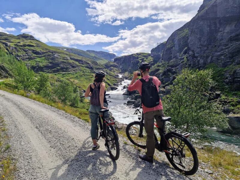 Guided, electric bicycle tour from Vatnahalsen (near Flam) - Key Points