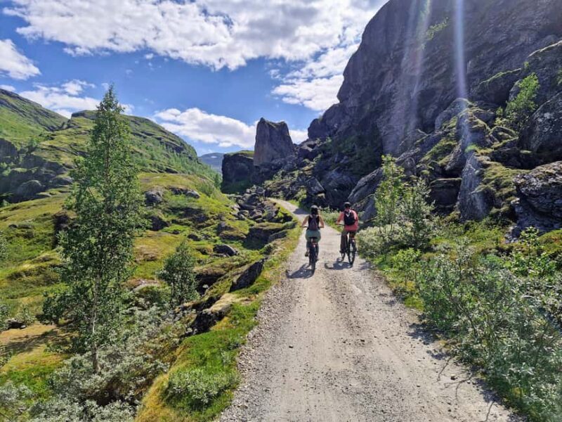 Guided, electric bicycle tour from Vatnahalsen (near Flam) - Final Thoughts