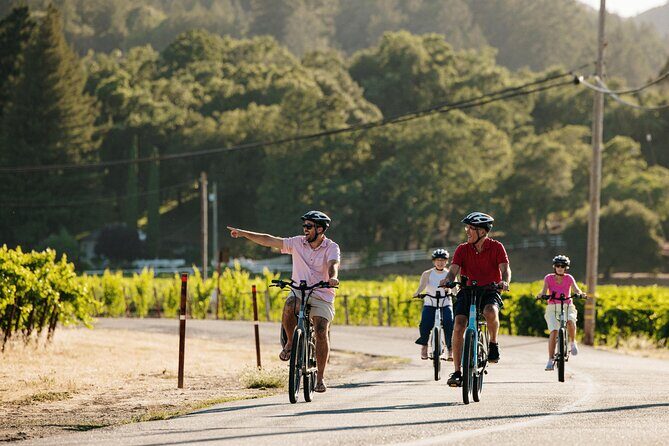 Guided Electric Bike Wine Tour Through Sonoma County - Analyzing the Experience: What You Can Expect