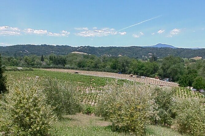 Guided Electric Bike Wine Tour Through Sonoma County - What the Reviews Say About the Experience