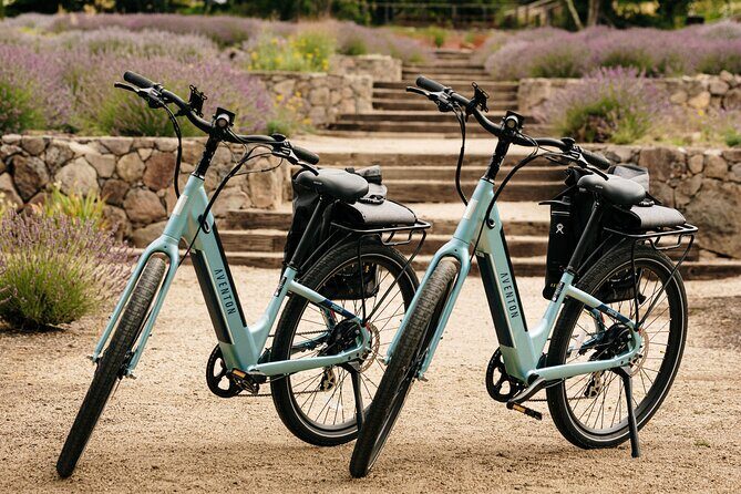 Guided Electric Bike Wine Tour Through Sonoma County - Final Thoughts: Is This Tour Worth It?