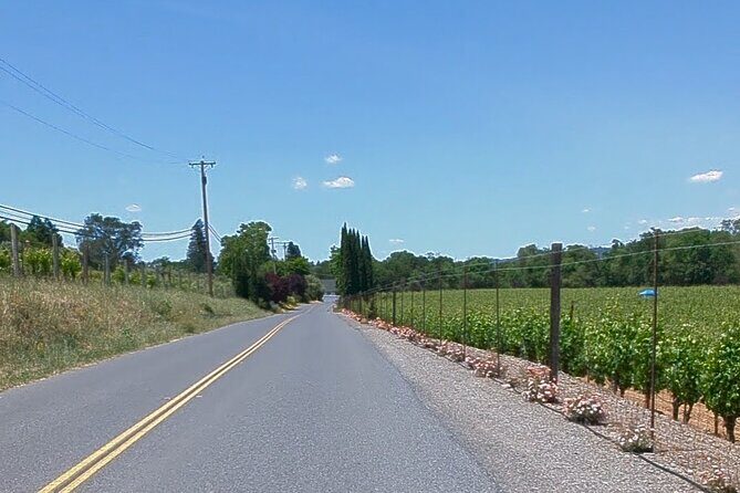 Guided Electric Bike Wine Tour Through Sonoma County - Frequently Asked Questions