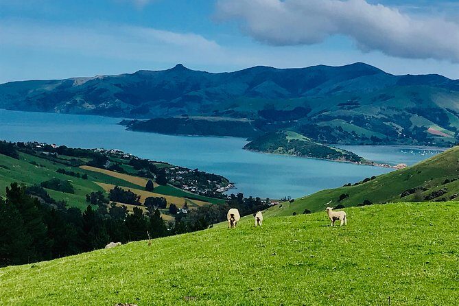 Guided Electric Mountain Bike & Sea Kayak Tour in Akaroa - Authentic Experiences and Authenticity