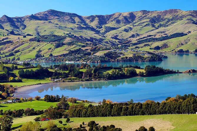 Guided Electric Mountain Bike Tour- Akaroa Explorer - Authentic Feedback from Participants
