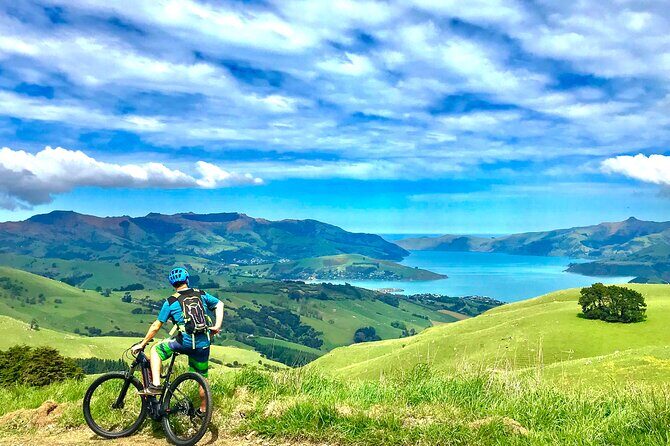 Guided Electric Mountain Bike Tour- Akaroa Explorer - Final Thoughts