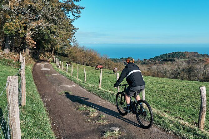 Guided Electric Mountain Bike Tour in Gipuzkoa - Analyzing the Value: Is It Worth It?