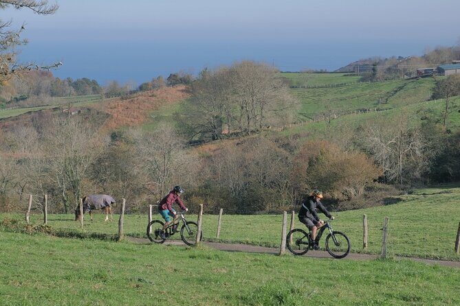 Guided Electric Mountain Bike Tour in Gipuzkoa - Who Will Appreciate This Tour?