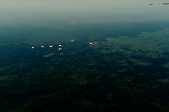 Guided excursion for small groups by kayak in Valle da Pesca - Discovering Valle da Pesca by Kayak: An In-Depth Look