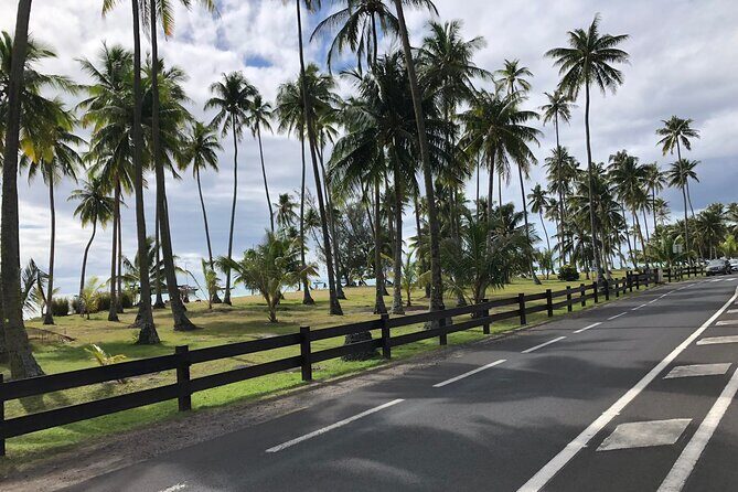 Guided Excursion in 4x4 in Moorea between Land and Sea - Practical Tips for Travelers