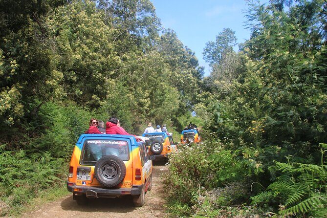 Guided Exploration of Southwest Madeira in a 4x4 - First Stop: Campanario and Ribeira Brava