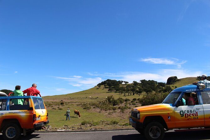 Guided Exploration of Southwest Madeira in a 4x4 - Final Stops: Jardim do Mar and Calheta