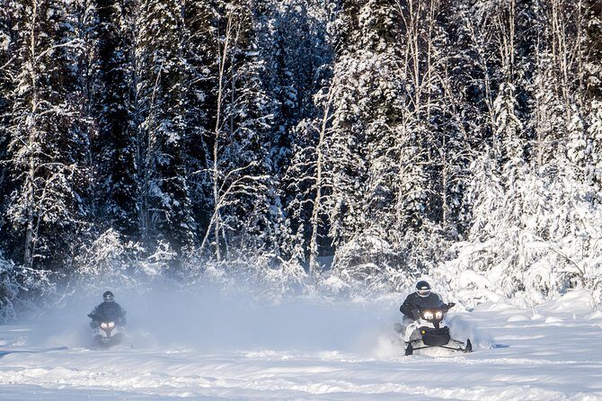 Guided Fairbanks Snowmobile Tour - The Experience in Detail: What Makes It Special