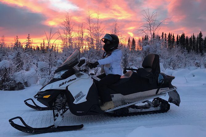 Guided Fairbanks Snowmobile Tour - Who Will Enjoy This Tour?