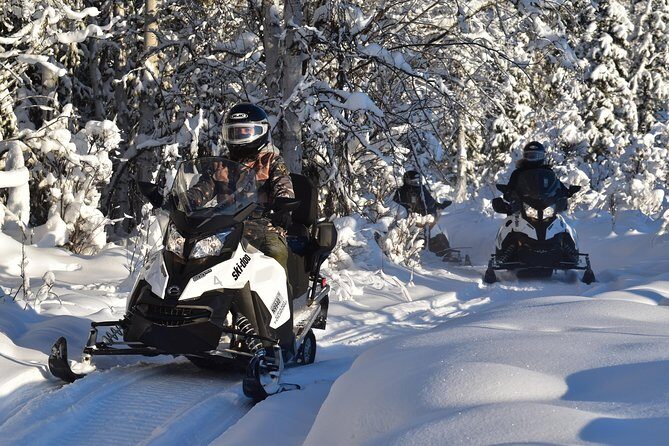 Guided Fairbanks Snowmobile Tour - The Sum Up