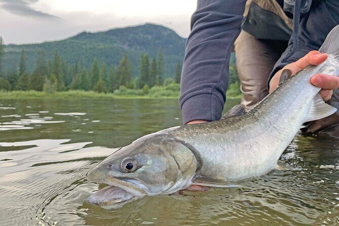 Guided Fishing Adventure in Whistler - FAQ (Frequently Asked Questions)