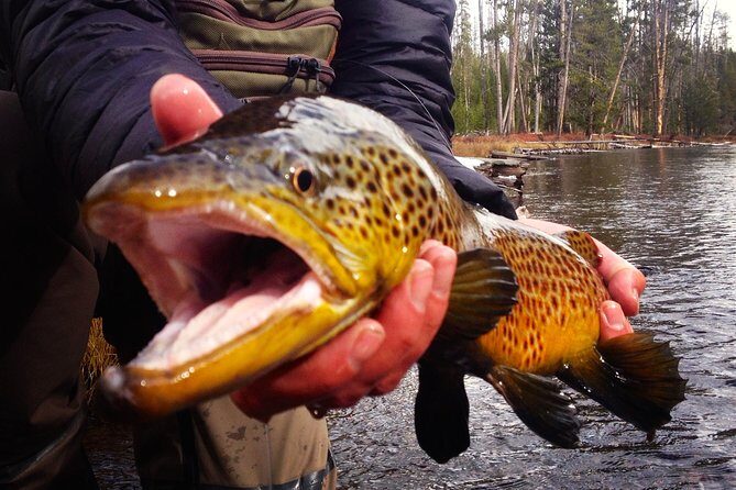 Guided Fishing Trip in Jackson Hole - Why This Tour Stands Out
