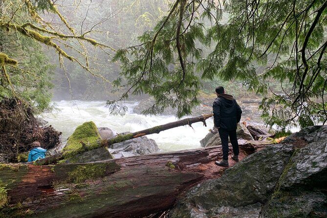 Guided forest hike to Seattle waterfalls incl. Snoqualmie Falls - What to Expect: The Practicalities
