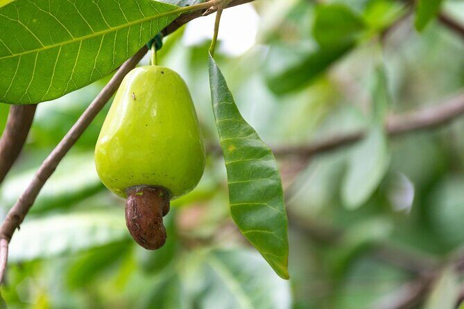 Guided Full Day Phuket Explorer including Lunch - Detailed Breakdown of the Itinerary