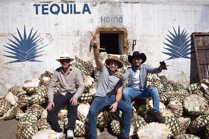 Guided Full Day Tour to Tequila and Cantaritos el Guero - Who Will Love This Tour?