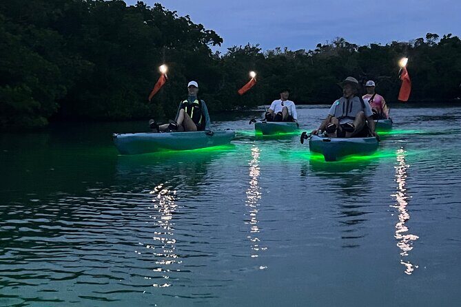 Guided Glow LED Kayak Sunset Activity in Bonita Springs - The Itinerary: From Launch to Sunset and Beyond
