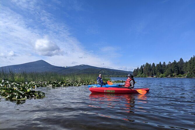 Guided Half-Day Kayak Tour - Practical Tips