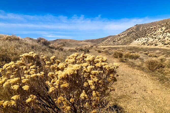 Guided Half-Day Scenic Tour - Off The Beaten Path - Practical Considerations