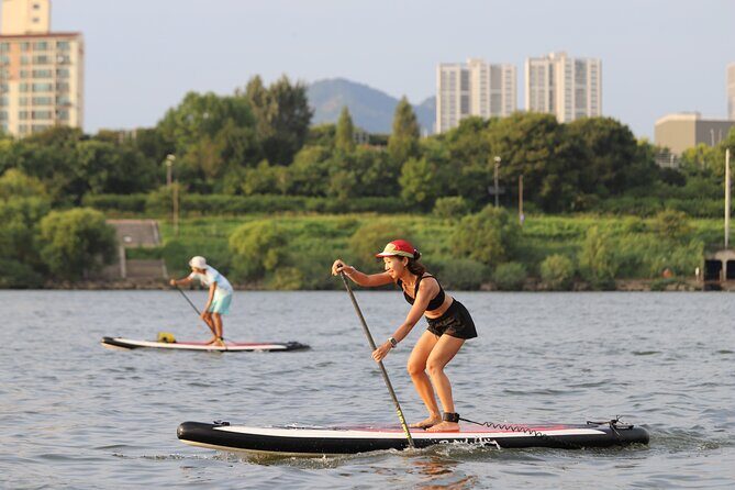 Guided Han River Paddling Urban Nature Escape - What Travelers Say and Why It Matters