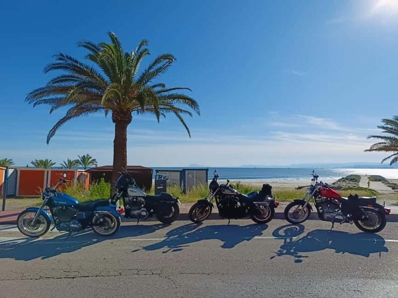 Guided Harley tours with lunch - Exploring the Valencia Harley Tour in Detail