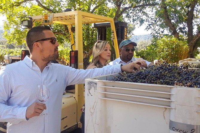 Guided Healdsburg Wine Country Bike and Wine Tasting Tour with lunch - What to Expect from the Itinerary