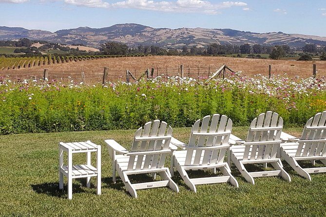 Guided Healdsburg Wine Country Bike and Wine Tasting Tour with lunch - The Lunch Experience
