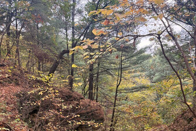 Guided Hike at Starved Rock and Matthiessen Park - The Itinerary: A Detailed Breakdown