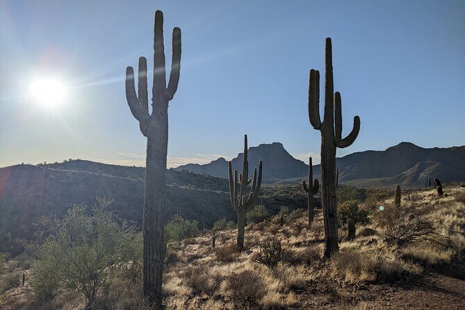 Guided Hike: Desert Copper Mile - What to Expect from the Desert Copper Mile Guided Hike