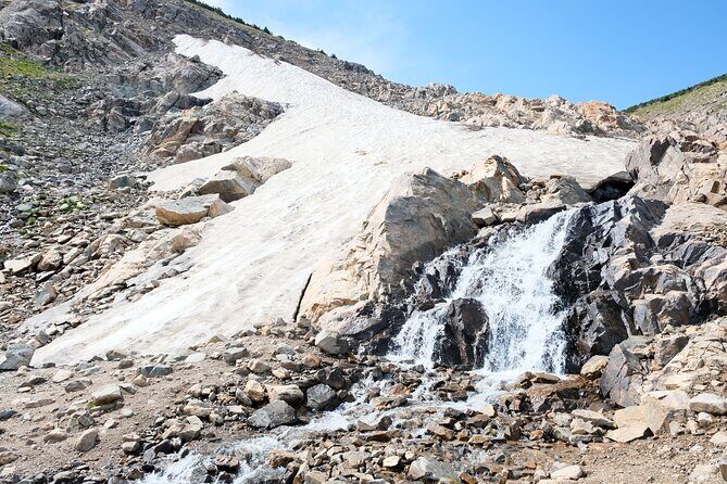 Guided hike in Rockies - Half Day Trip - Descending and Return