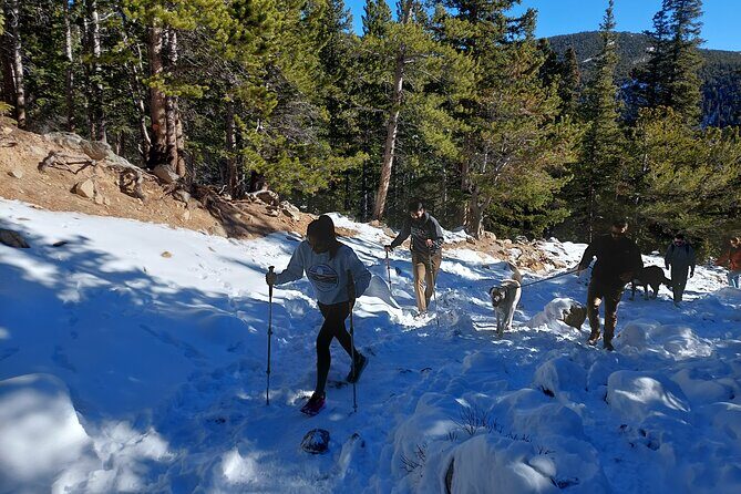 Guided hike in Rockies - Half Day Trip - Authenticity and Local Knowledge