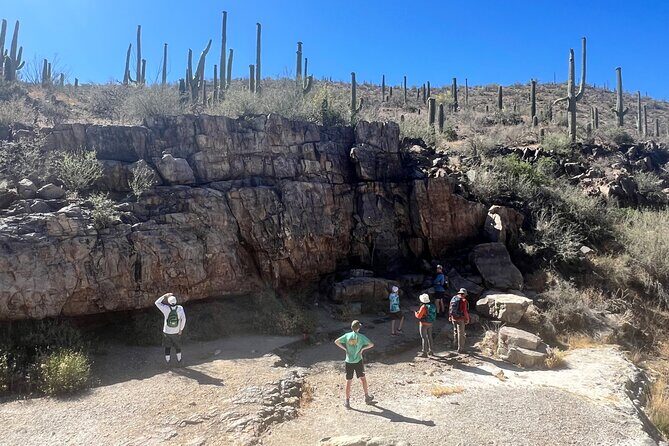 Guided Hike in the Sonoran Desert - Exploring the Guided Hike in the Sonoran Desert: A Natural Escape Near Tucson