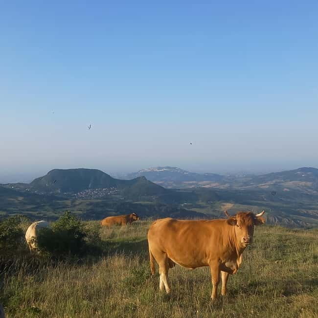Guided hike on Mount Carpegna - Exploring Mount Carpegna: What the Experience Offers