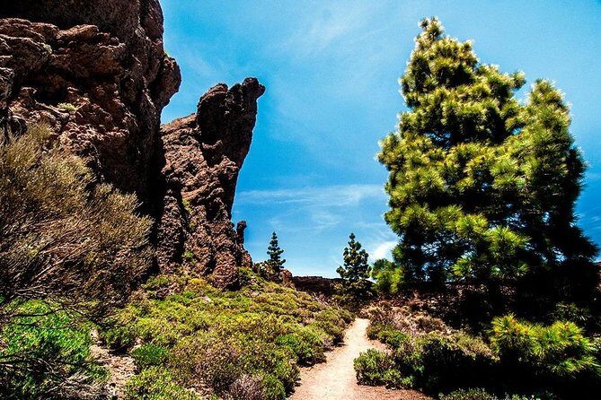 Guided Hike - The Tajinaste Trail - Practical Tips for Participants