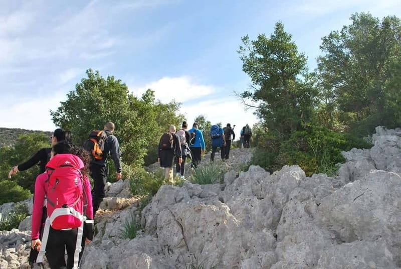 Guided hike to Cala Mariolu - Value and Practicalities