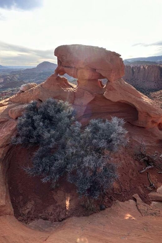 Guided hike to Meeks Mesa of Capitol Reef - Exploring Capitol Reef’s Hidden Treasures