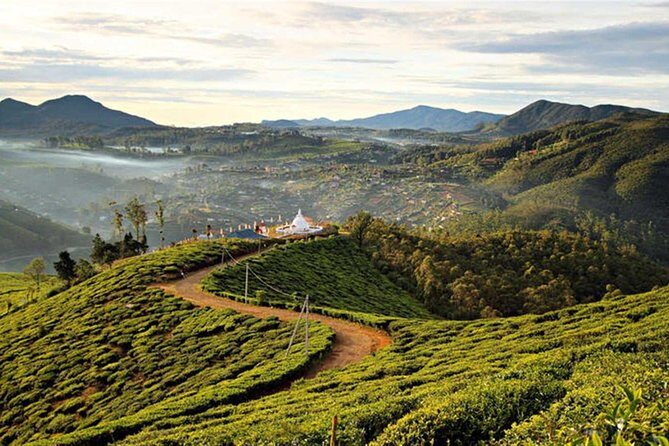 Guided Hike to Single Tree Hills from Nuwara Eliya - Guided Hike to Single Tree Hills from Nuwara Eliya — A Deep Dive