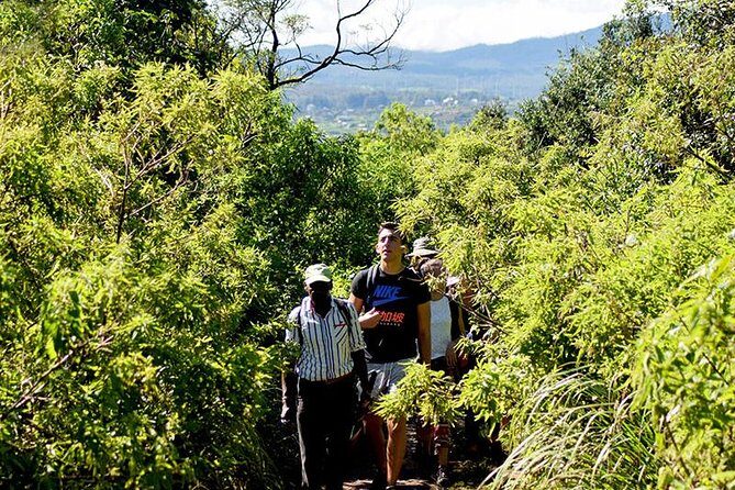 Guided Hike to Single Tree Hills from Nuwara Eliya - What Real Participants Say